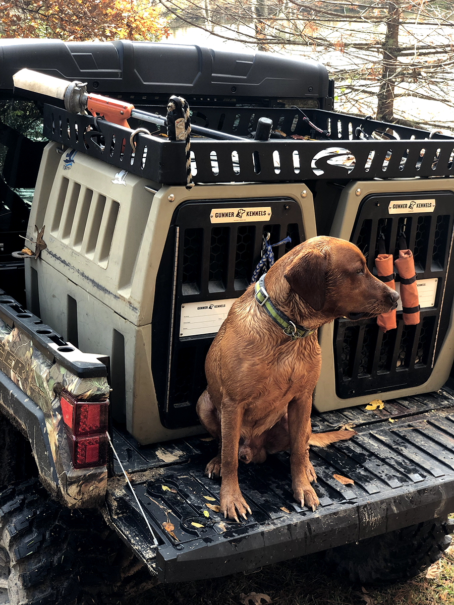 Dog Kennel Racks – Marengo Bend